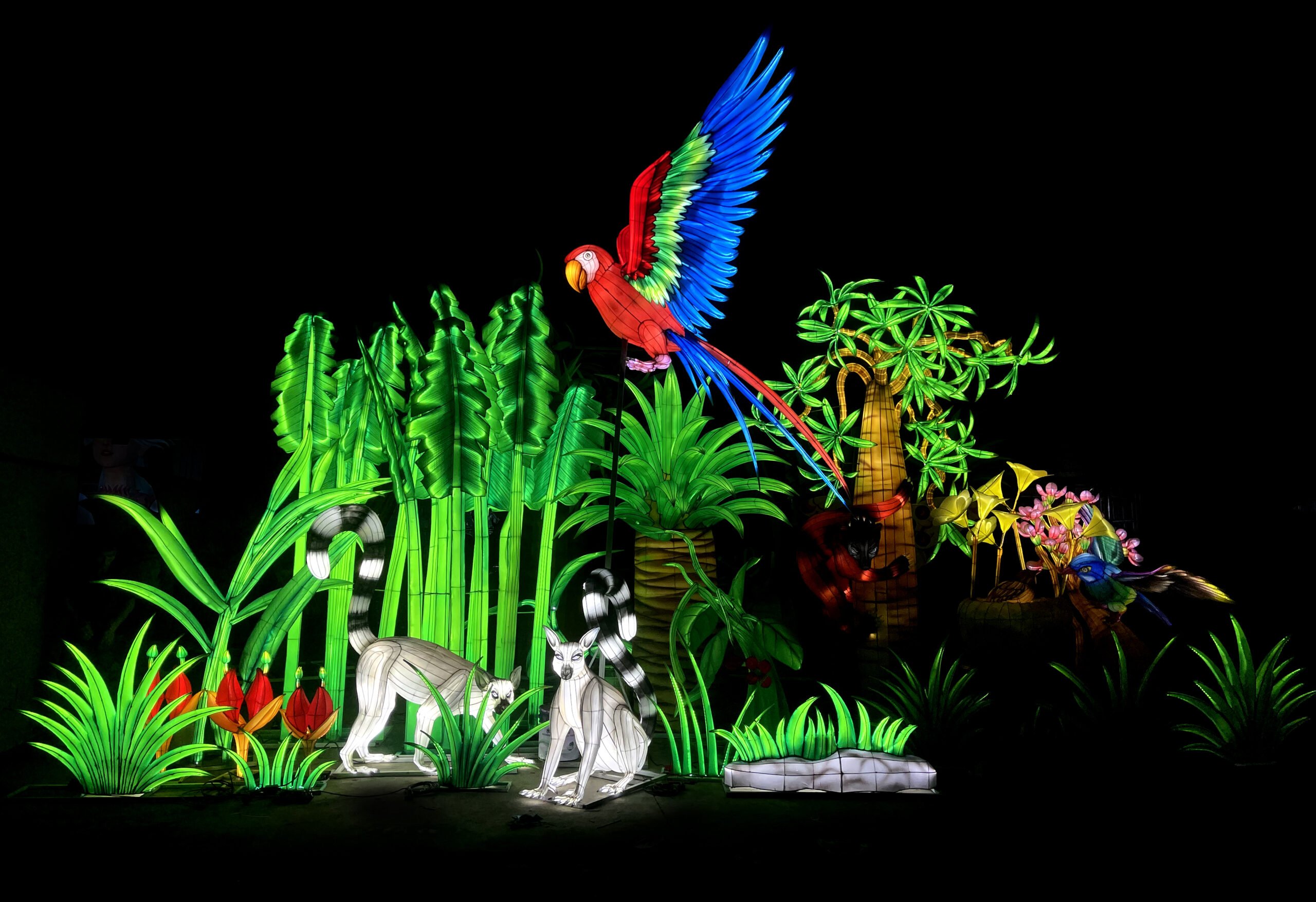Illuminated Animals